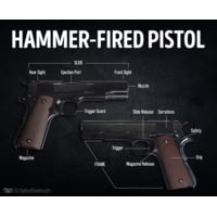 Gun Anatomy | Basic Parts Infographics