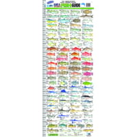 AFN Florida USA Fish Guide Ruler | Up to 17% Off Free Shipping over $49!