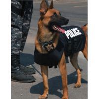 Armor Express K9 Id Tag Blk/white Letter | Free Shipping over $49!