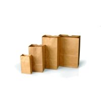 Forensics Source Plain Paper Bags Style 4 100 | w/ Free Shipping
