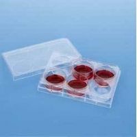 Corning Falcon Cell Culture Companion Plates for Inserts, Sterile ...