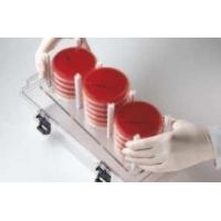 BD GasPak EZ Container Systems, BD Diagnostics 260674 Incubation Rack ...