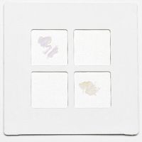 BD Identification Systems and Reagents, BD Diagnostics 231746 Bd ...