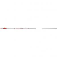 BloodSport Judgement Arrows | Up to 23% Off w/ Free Shipping