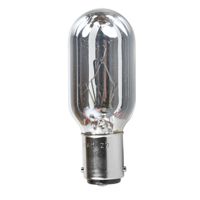 Bulbtronics Lamp Incandescent 77458 010766-001 | w/ Free S&H