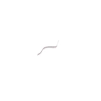 Centennial Defense Systems Stainless Steel Slide Lock Spring for Glock ...