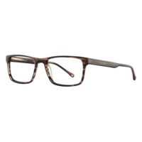 Champion 4003 Eyeglass Frames | Free Shipping over $49!
