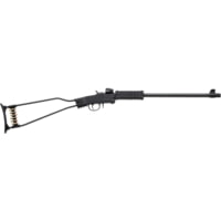 Buy Chiappa Firearms Little Badger Break Open Rifle, .22 Winchester ...