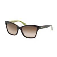Coach L084 ARCHIE HC8107 Sunglasses - Men's | Free Shipping over $49!