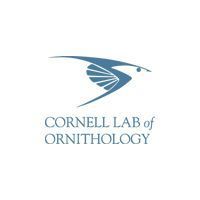 Cornell Lab of Ornithology & OpticsPlanet cooperation - Birding Optics ...