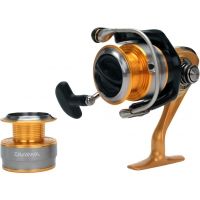 Daiwa Aird Dual-Capacity Spinning Reel | Free Shipping over $49!
