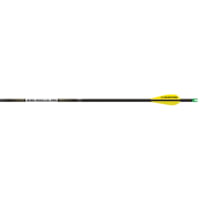 Easton X10 Parallel Pro Arrows | w/ Free Shipping and Handling