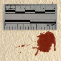 Forensics Source Adhesive Black Scales, 50 | w/ Free Shipping and Handling