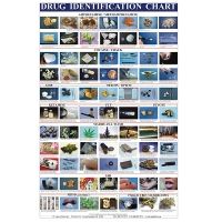 Forensics Source Drug Identification Wall Chart | Free Shipping over $49!