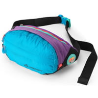 Gregory Nano Waistpack Plus Pack | Free Shipping over $49!