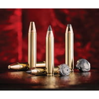 Everything You Should Know About 350 Legend | 350 Legend Ammo Guide