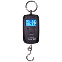 Last Chance Bow Scale 2.0 | Free Shipping over $49!