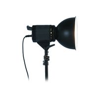 Lastolite 500 Watt Tungsten Light Head w/out Bulb | Free Shipping over $49!