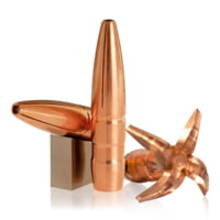 Lehigh Defense Maximum Expansion .300 AAC Blackout 194 Grain Hollow ...