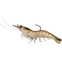 Live Target Rigged Shrimp Soft Plastic,snd shrimp,1/0 SSF75SK910 | Free ...