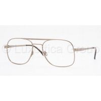 Luxottica Eyeglass Frames LU1041T | Free Shipping over $49!