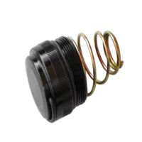 Maglite Lanyard Ring Tail Cap D Old | Free Shipping over $49!