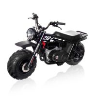 Mega Moto 212cc Pro Series Mini Bike