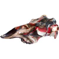 Mountain Mike's American Flag Deer Skull Master Kit W/pstnr | $5.02 Off ...