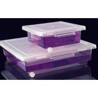 Nalge Nunc Staining Boxes, NALGENE 5705-2020 | Free Shipping over $49!