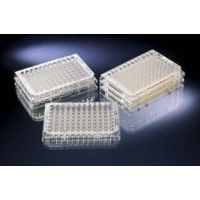 Thermo Scientific Nunclon Sterile 96 Well Plates with Lid 167008 | w ...