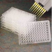 Nunc Plate Maxisorp 96WL 0.4ML CS60 439454 | $26.88 Off w/ Free ...