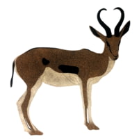 Oncore Targets Springbok Self-Healing Archery Target | 29% Off Free ...