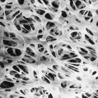 Pall Membrane Disc Filters, GLA-5000, Pall Life Sciences 66469, Pack of ...