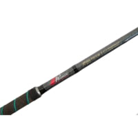Phenix Abyss, Spinning Rod, 15-40#, Mod-Fast, 1 Pieces | Free Shipping ...