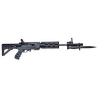 ProMag Archangel 10/22 Deluxe Advanced Rimfire Convertion Package ...