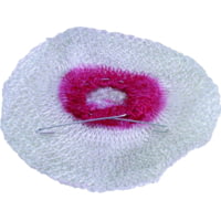 Quick Clip Indoor Gaslight Mantle | Free Shipping over $49!