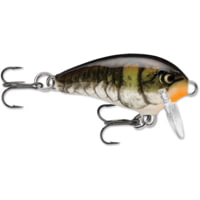 Rapala Mini Fat Rap Crankbait, 1 1/2in, 1/8oz, Firetiger | Free ...