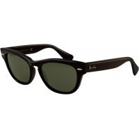 Ray-Ban LARAMIE RB4169 Sunglasses | Free Shipping over $49!