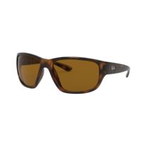 Ray-Ban RB4300 Sunglasses | Free Shipping over $49!