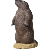 Rinehart Groundhog Targets | $2.00 Off w/ Free Shipping and Handling