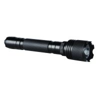 Stansport CREE R5 300 Lumen Flashlight | Free Shipping over $49!