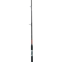 Star Rod, Aerial Boat Spinning Rod, 1 Piece, Heavy 20-30lb, 3/4 - 2-1 ...