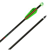 TenPoint Crossbow Technologies Pro-V 22in Lighted Arrows | Free ...