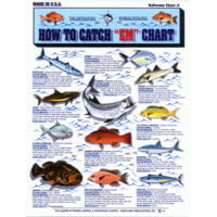 Tightlines How To Catch Em Charts | Up to 38% Off Free Shipping over $49!