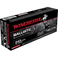Winchester Ballistic Silvertip .243 Winchester Super Short Magnum 95 ...