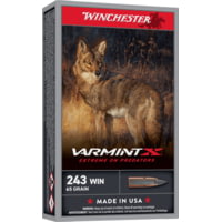 Winchester Varmint X .243 Winchester 65 Grain Rifle Ammunition X243PXP ...