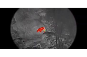 AGM Global Vision Wolverine Pro-6 6x Night Vision Rifle Scope | Up to ...