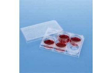 Corning Falcon Cell Culture Companion Plates for Inserts, Sterile ...