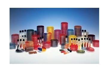 BD Prepared Media in Bottles and Plates, BD Diagnostics 254093 Bd Bbl ...