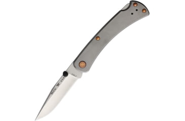 Buck Knives Titanium Slim Pro TRX Ltd Ed 3.75 in Stainless Steel ...